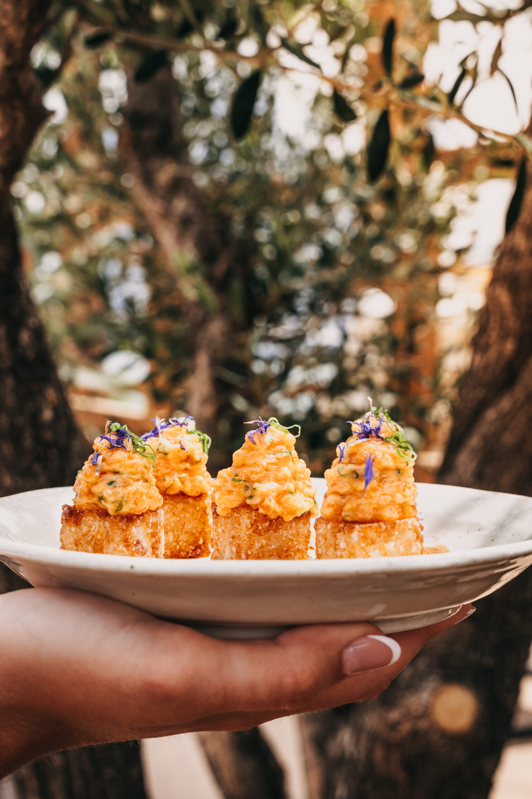 CLAP HOUSE IBIZA | Japanese Restaurant, Bar, & Beach Club